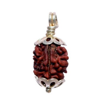 3 Mukhi Rudraksha Pendent - Very powerful original and lab certified ...