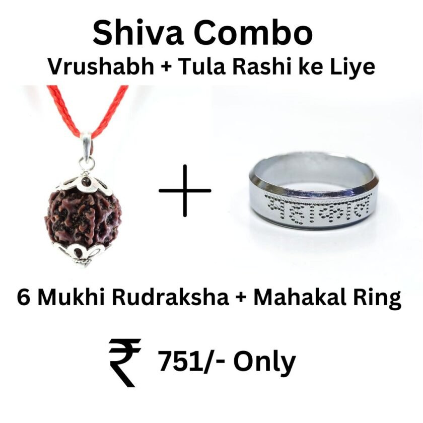 6 mukhi rudraksha pendent best natural and certified Rudraksha